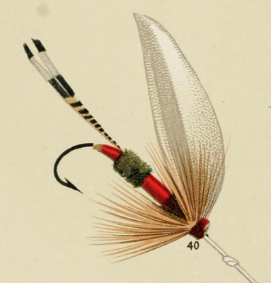 40 Royal Coachman - Classic Fly Tying