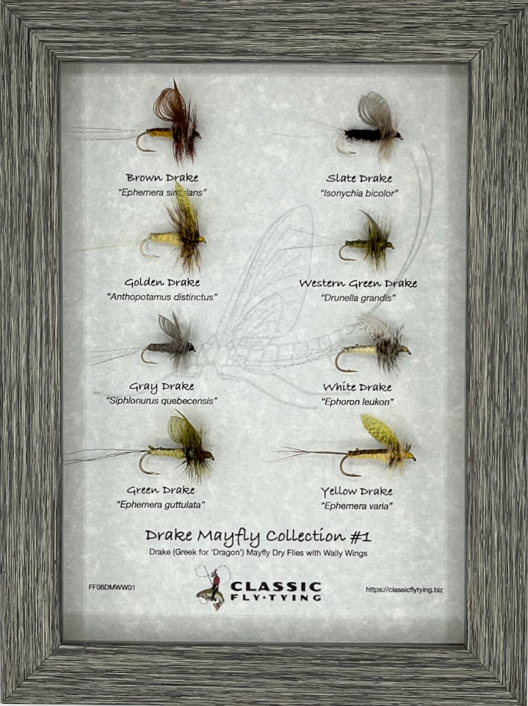 Framed Fly Gallery - Classic Fly Tying