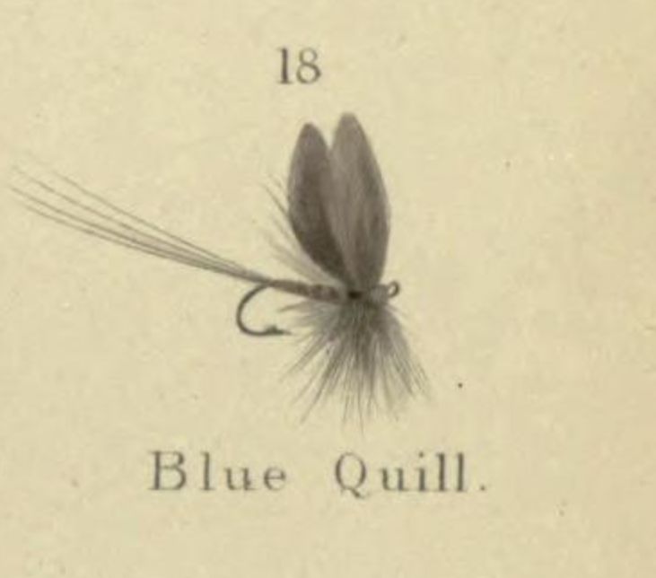 No. 18. Blue Quill - Classic Fly Tying